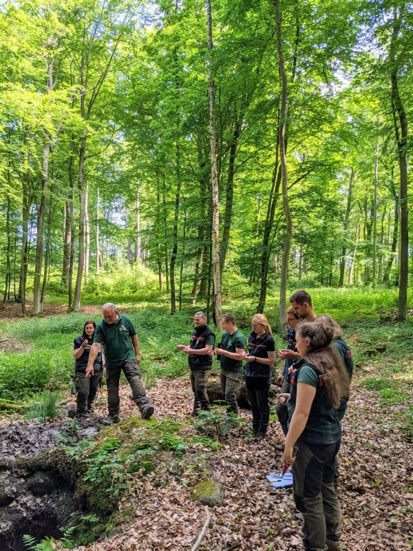 Referendare - Wald-MV